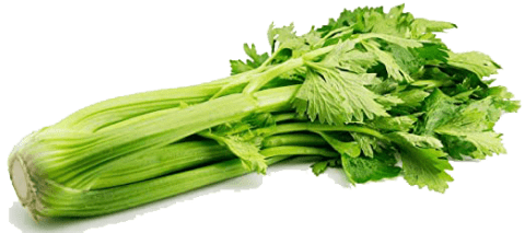 Zelena steblo | Kaj je danes na meniju? | Dostava ~ Sadje v pisarni